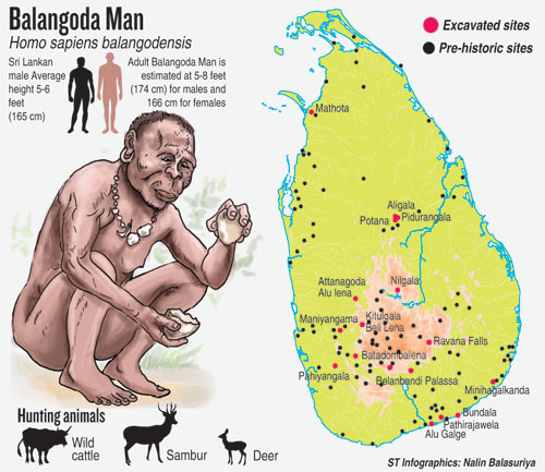 What did Sri Lankans eat in Late Pleistocene? - USJ - University of Sri ...